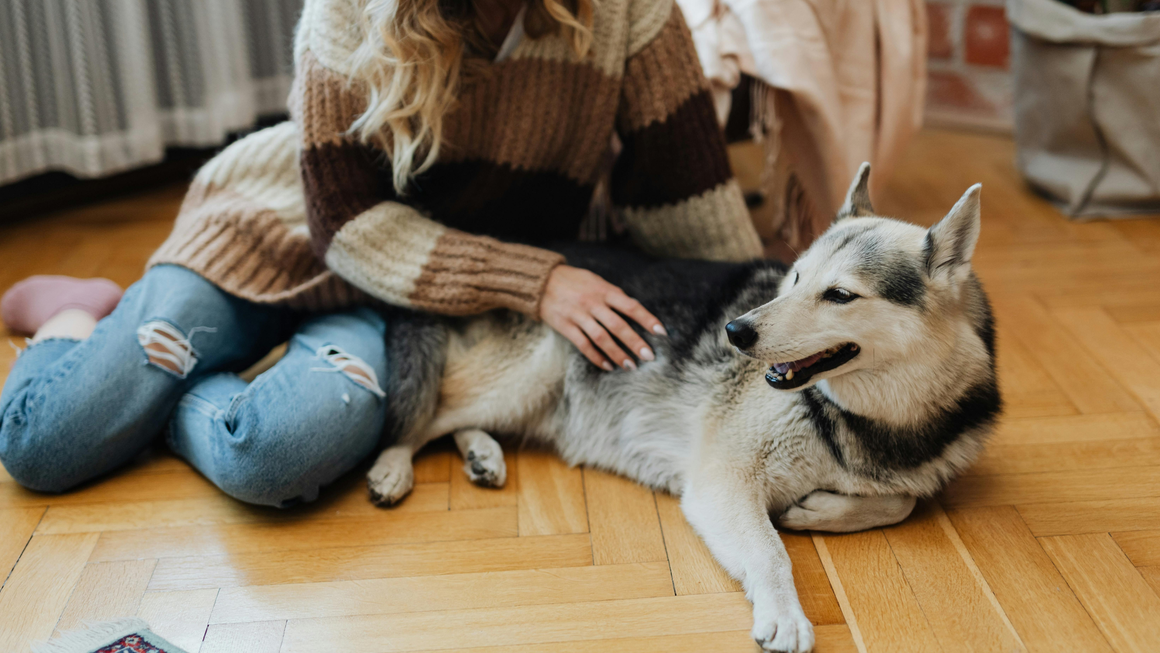 Pet Supply Store - Fayetteville, NC | Naturally Unleashed